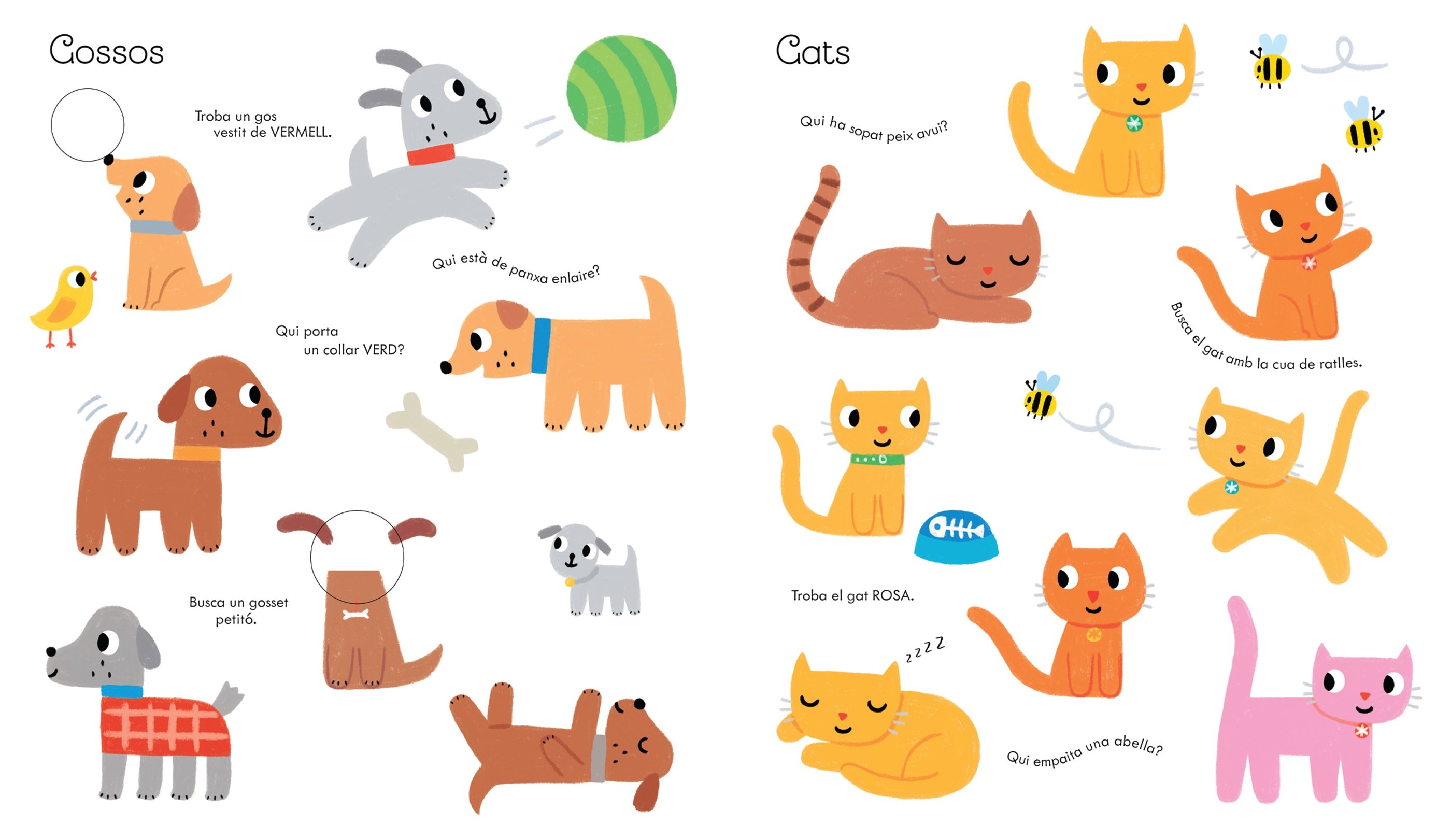 Petits Curiosos - Veig, Veig de Watt, Fiona 978-1-4095-9333-1